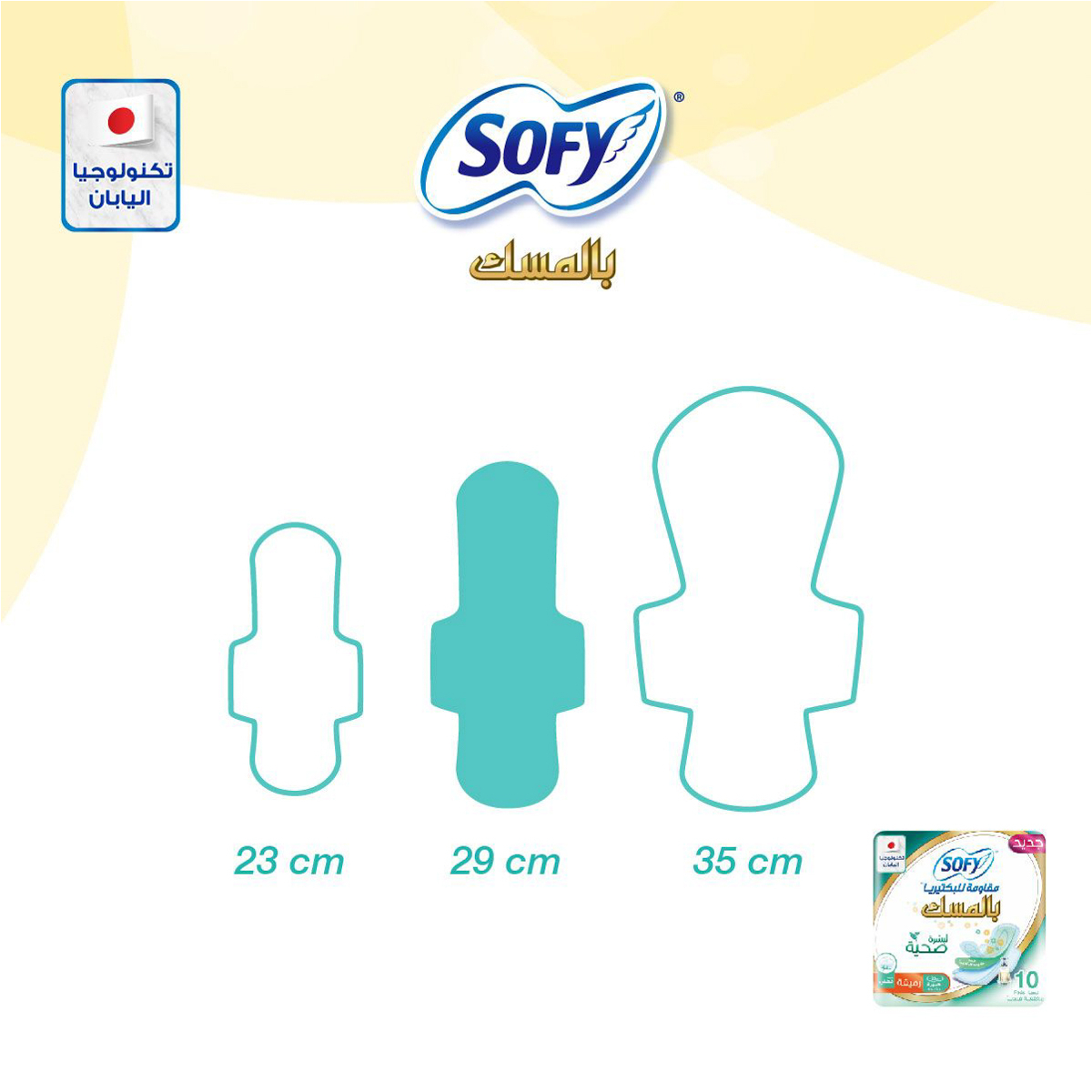 Sofy Anti-Bacterial Musk 10 Large Pads 29 Cm | Whites